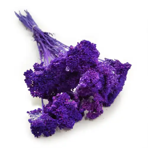 Dried Yarrow – Achillea – Purple – Natural Floral Decoration 100g