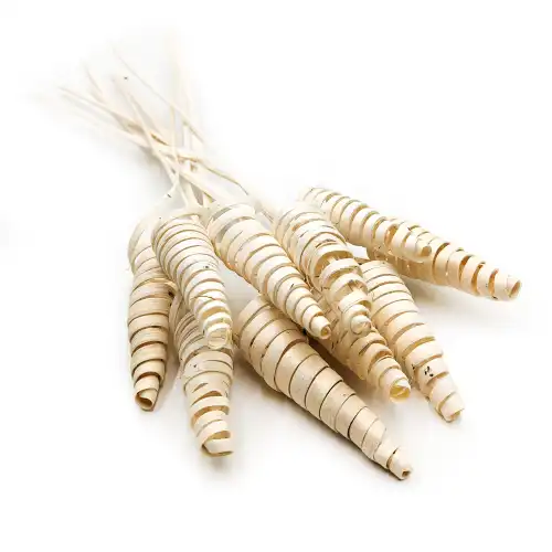 Bleached Cane Cone – 10 Natural Decorative Spirals | For Bouquets, DIY ...