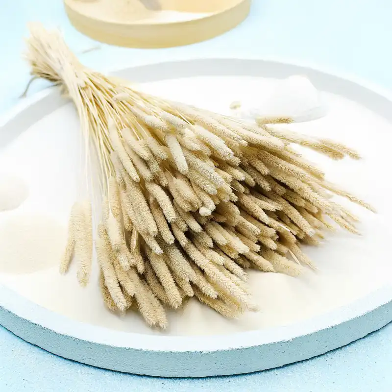 Dried Bleached Timothy Grass – 85g – Light & Natural Interior Decor